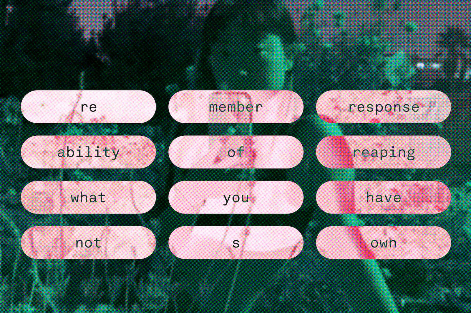 Seed Phrase S1: Alice Yuan Zhang – Simon Denny